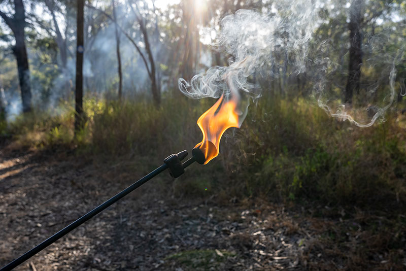 First Nations Fire and Land Officer | Gladstone Regional Council